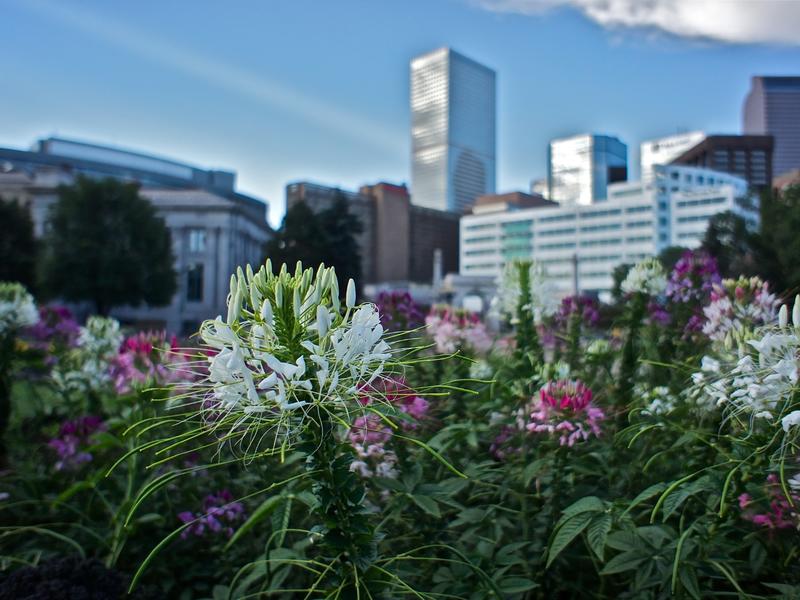 Picture Yourself Here | Dryden Apartments